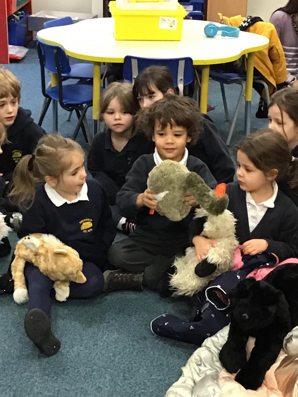 Hart Farm Visit | Threshfield Primary School | North Yorkshire